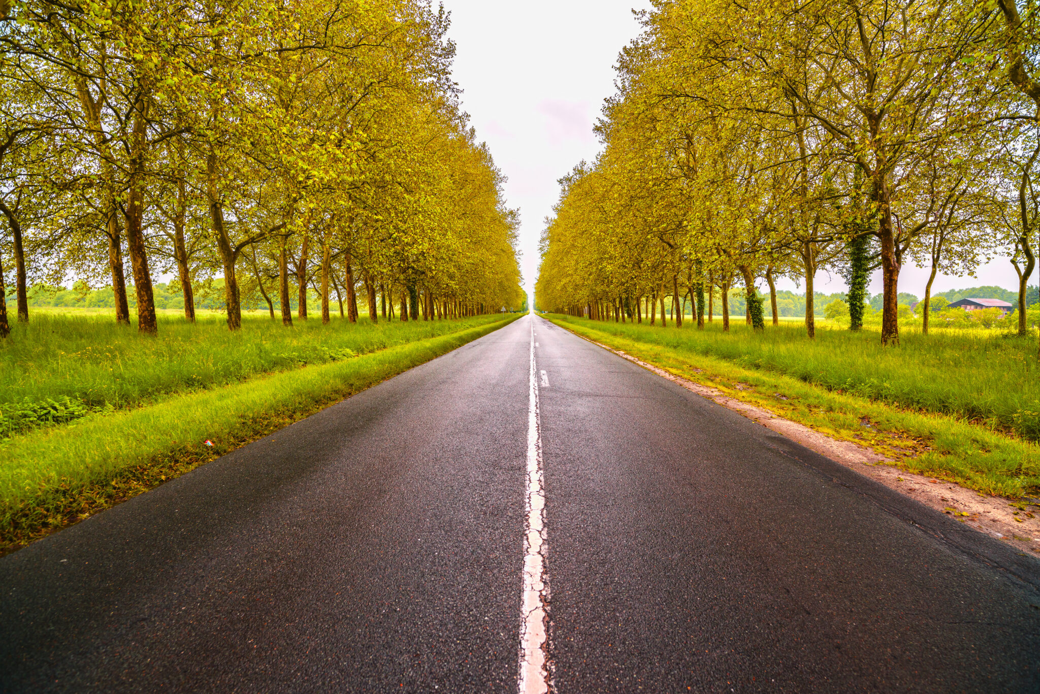 SHARx Insights | Why “Pass-Through” Doesn’t Always Mean What You Think